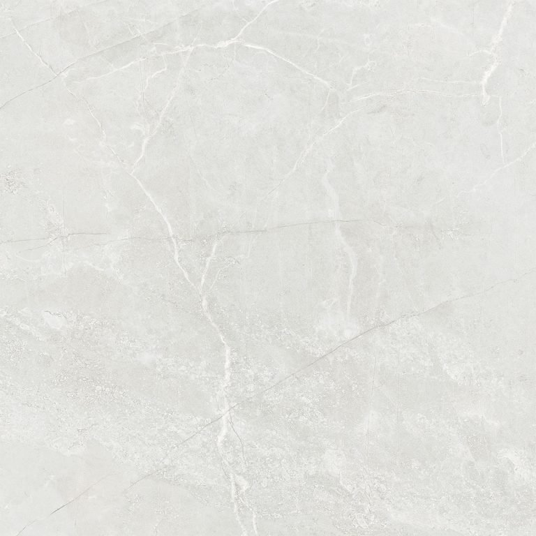 INDIC – 진영 코리아