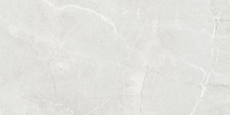 INDIC – 진영 코리아